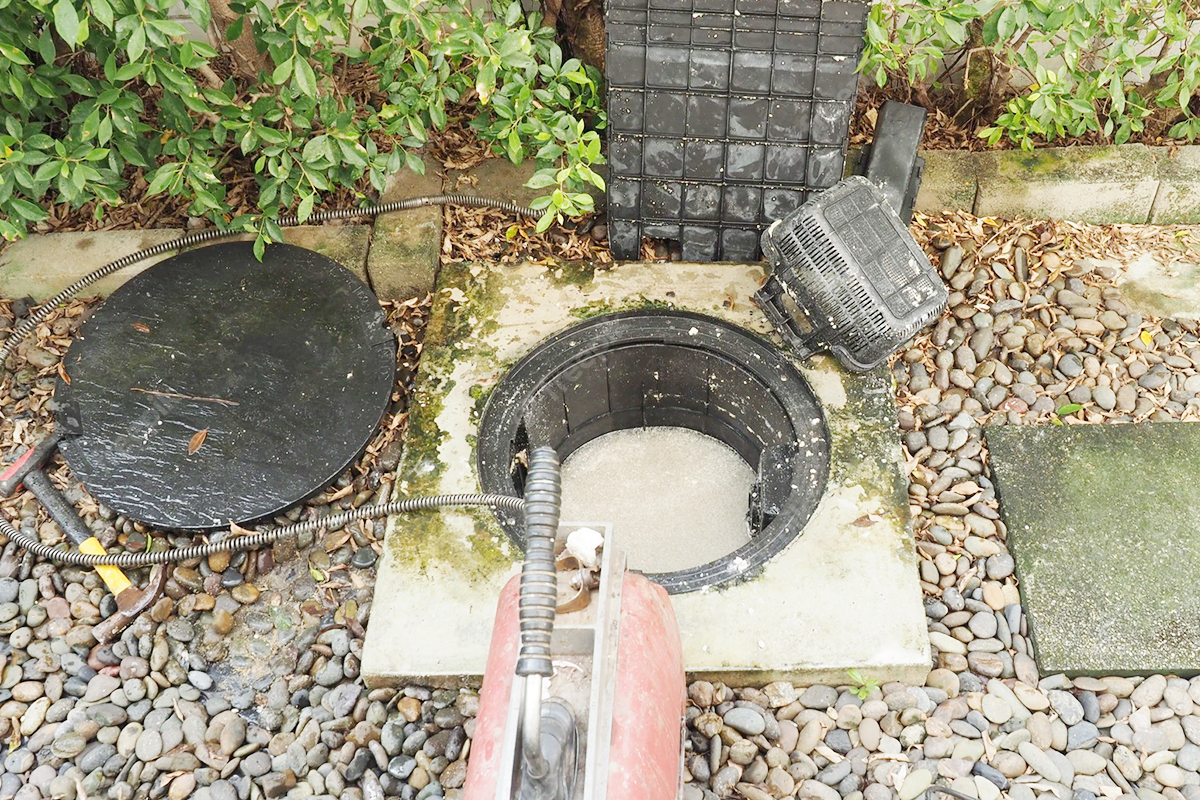 Most Common Causes of Septic System Failure - Danos Septic